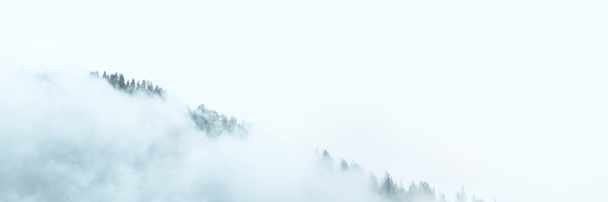 Responsible Investing - Mandatum Asset Management